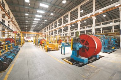 Thermo Cables: Pioneering Speciality Cables, Competing with Global Leaders - Wire & Cable India